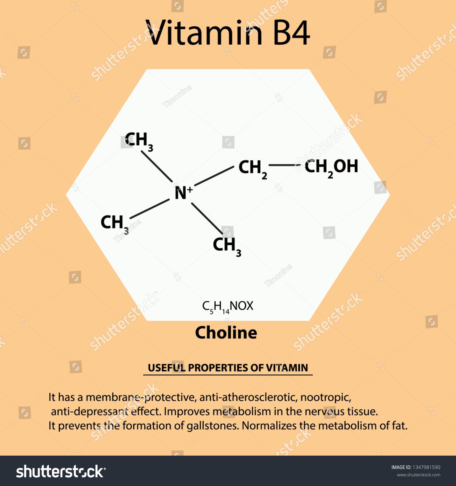 Brain-Boosting Nutrient: Choline | TBI on the Hill